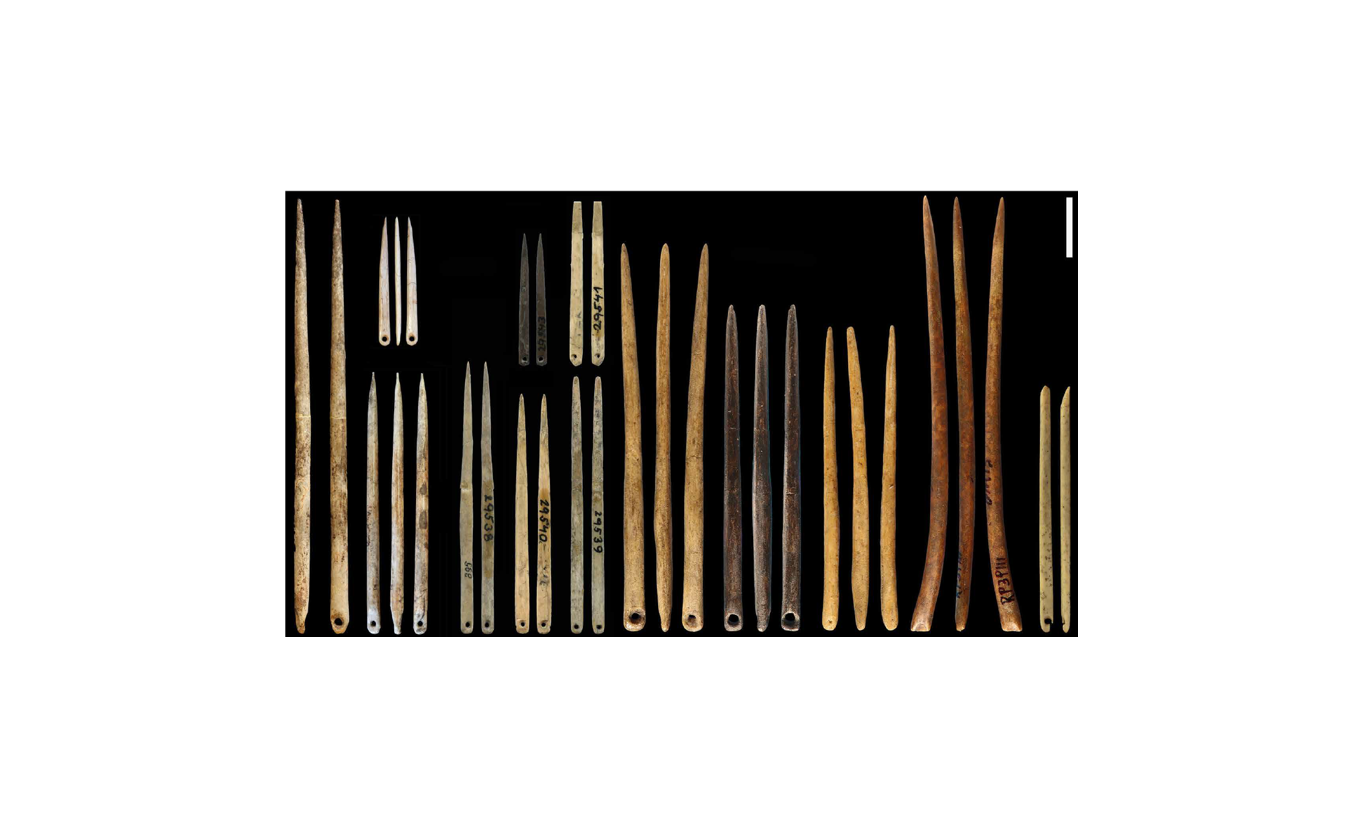 Article: Paleolithic eyed needles and the evolution of dress ...